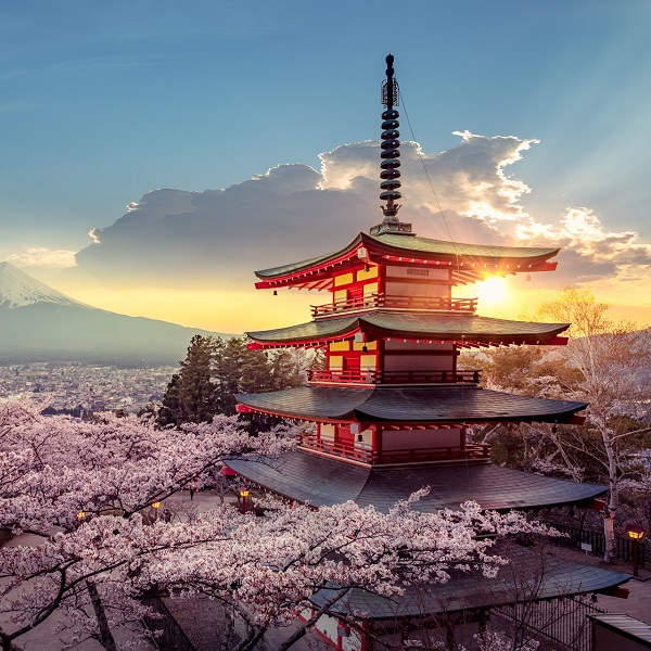 Contact Us - ONE STORY AWARD｜ワンストーリーアワード